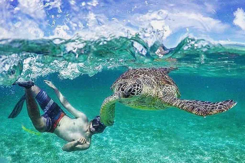 Derawan Islands 3‑Day Group Tour from Berau – Snorkeling & Island ...